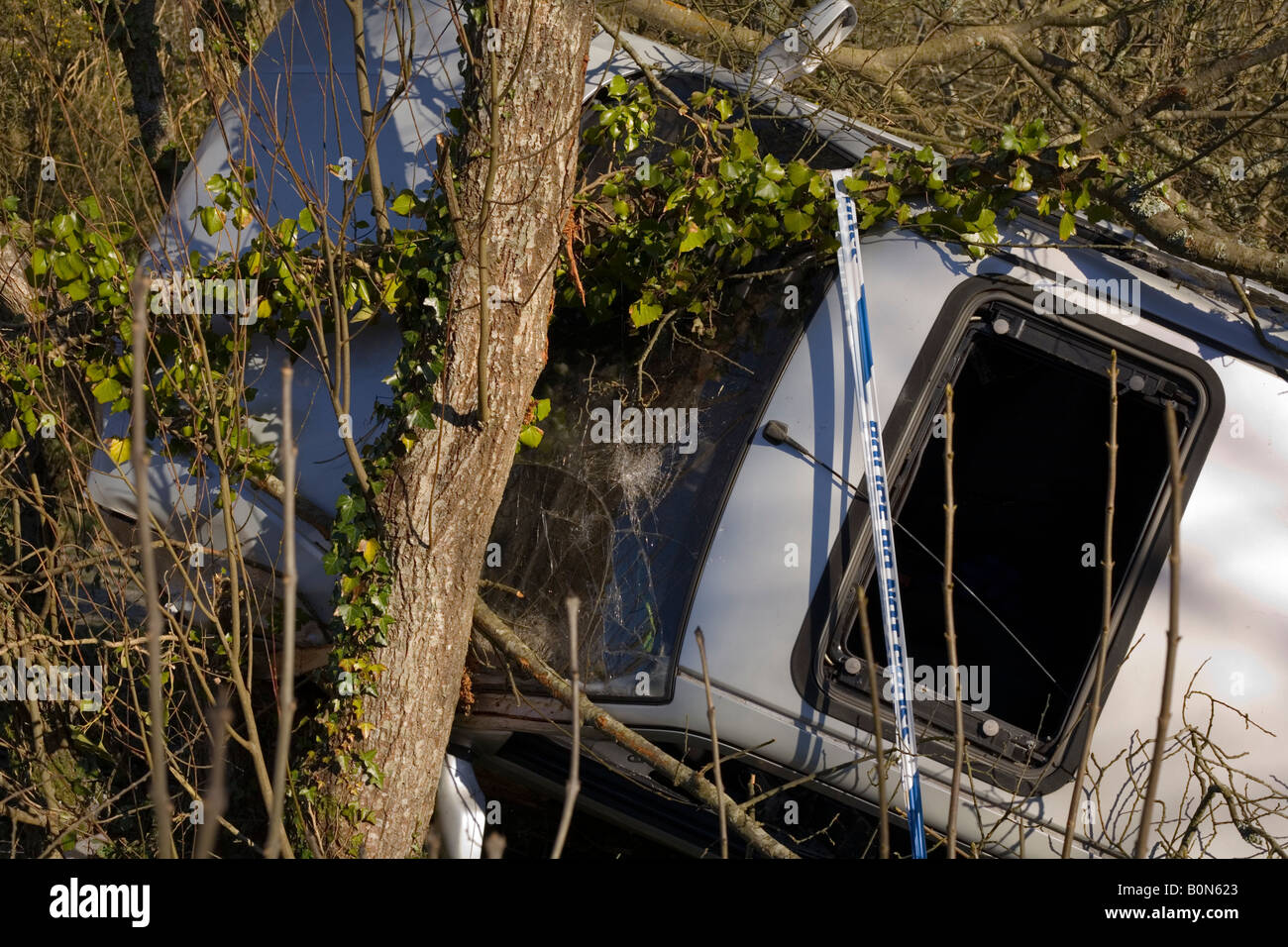 A car crashes into some trees Stock Photo - Alamy