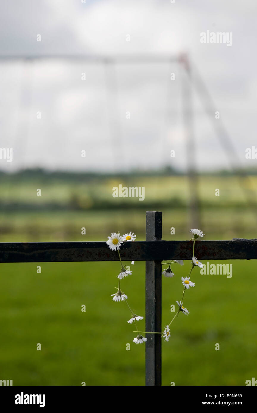 Chain Hanging Flower High Resolution Stock Photography and Images - Alamy