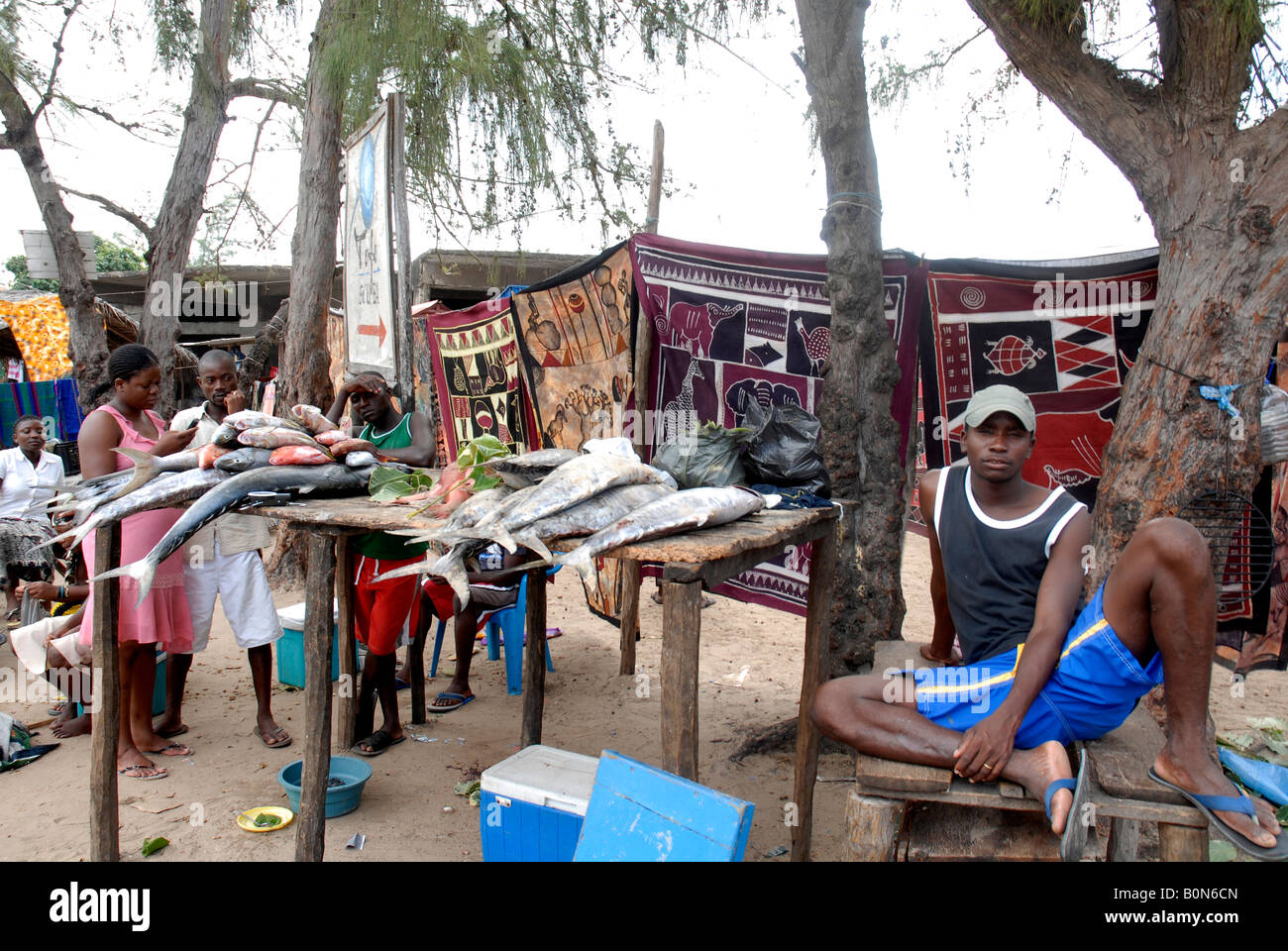 Fish in cooler hi-res stock photography and images - Alamy