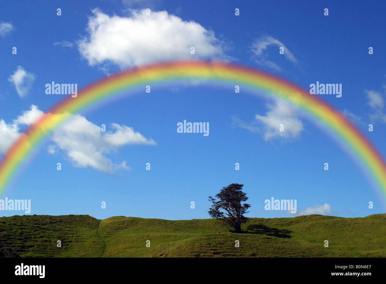 Rainbow over a green hill with one tree in the bright blue summers sky ...