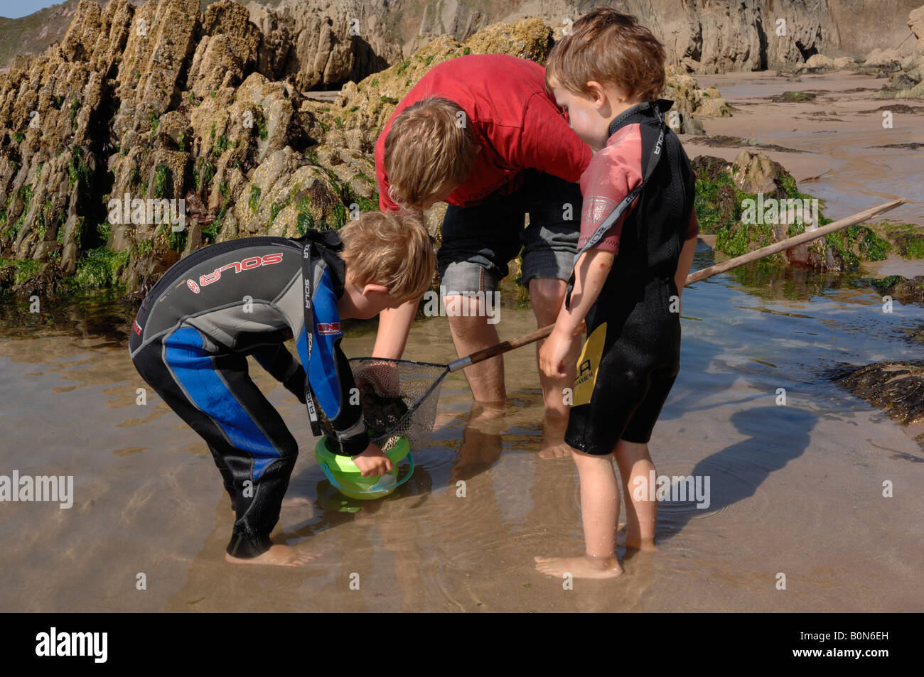 Rock pool net bucket hi-res stock photography and images - Alamy