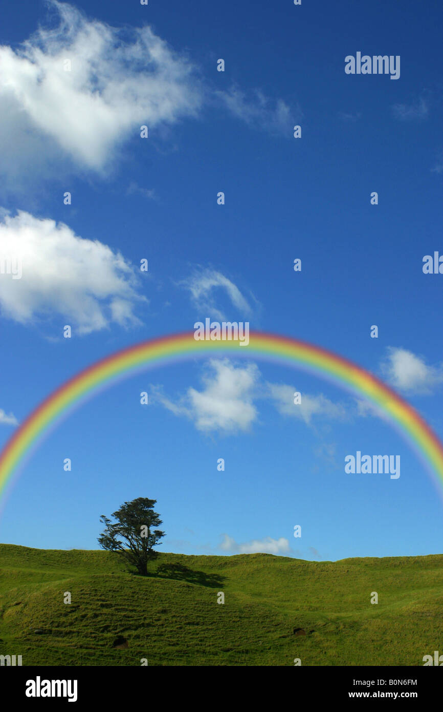 Rainbow over a green hill with one tree in the bright blue summers sky ...