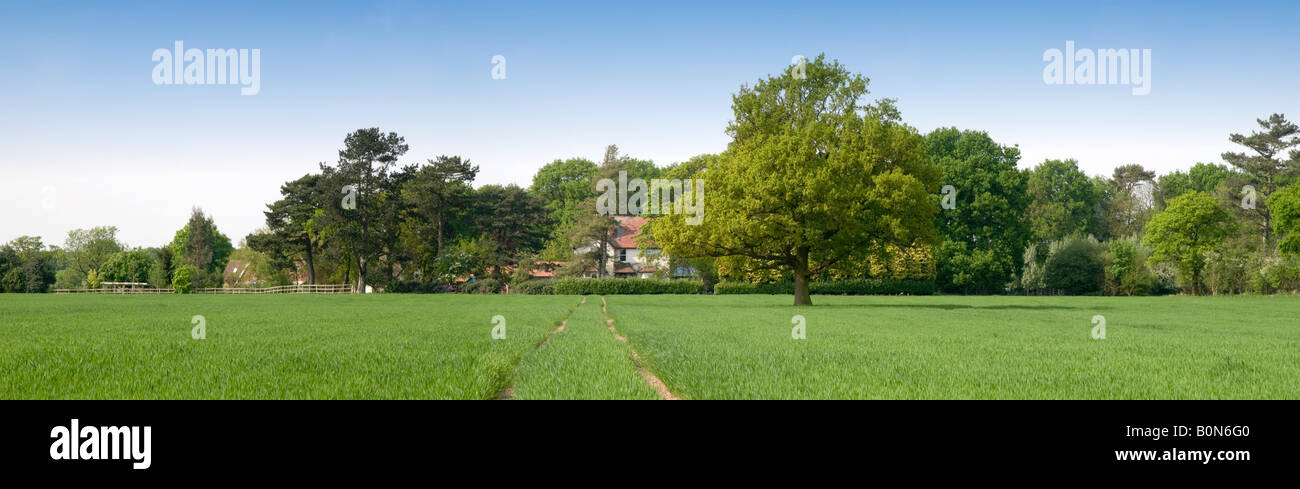 The grounds of a country estate Stock Photo - Alamy
