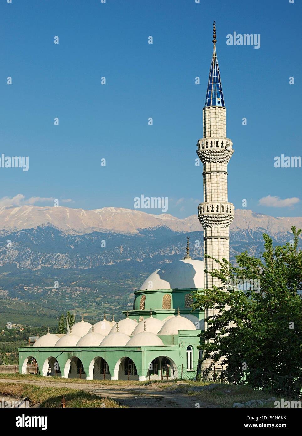 Mugla tree trees hi-res stock photography and images - Alamy