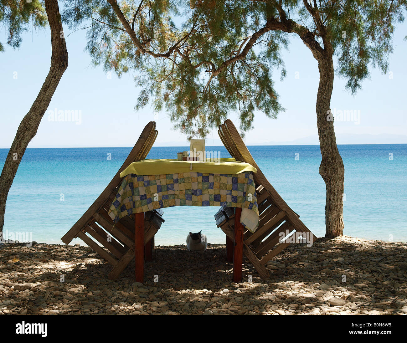 Cat sit under table hi-res stock photography and images - Alamy