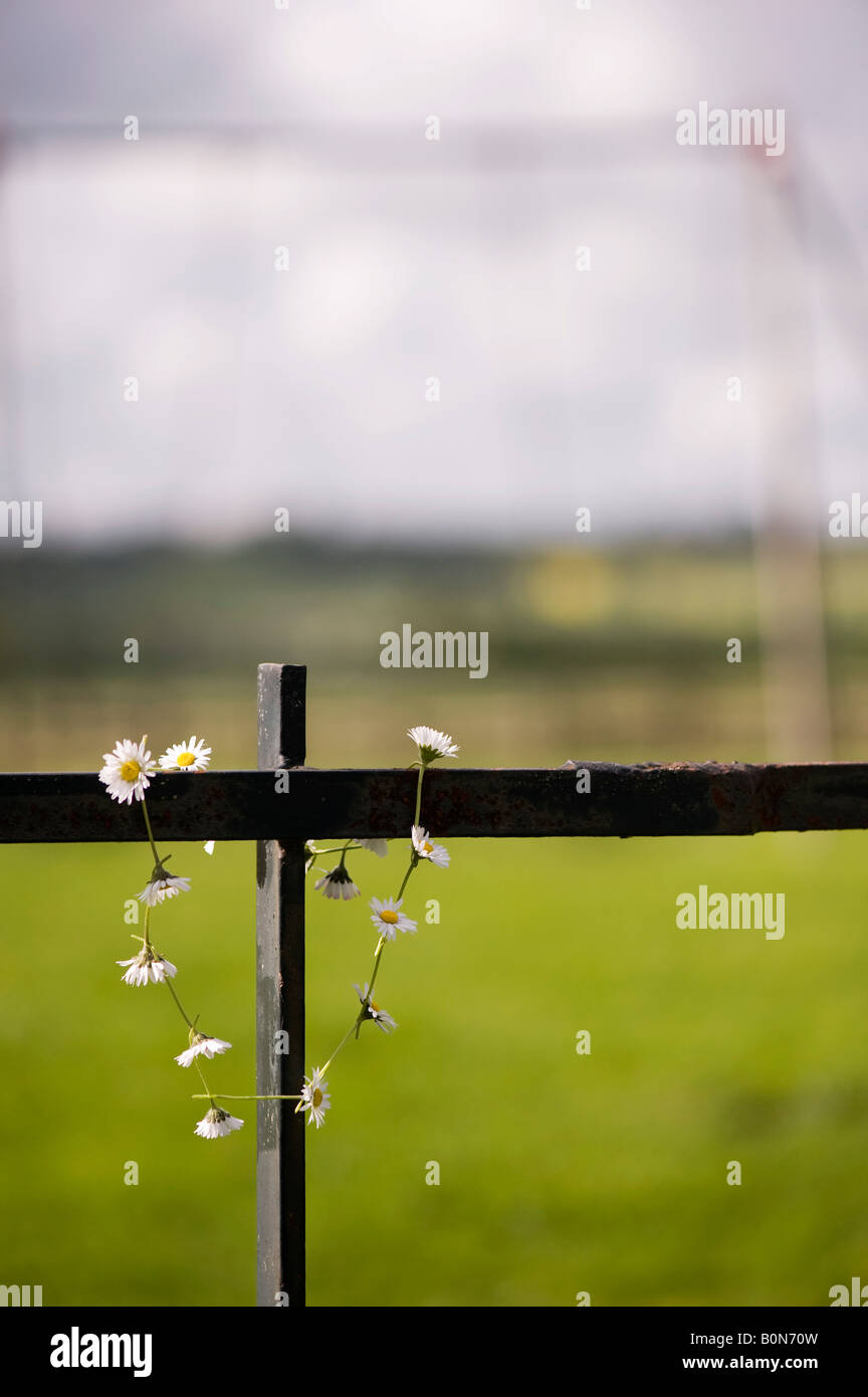 Chain Hanging Flower High Resolution Stock Photography and Images - Alamy