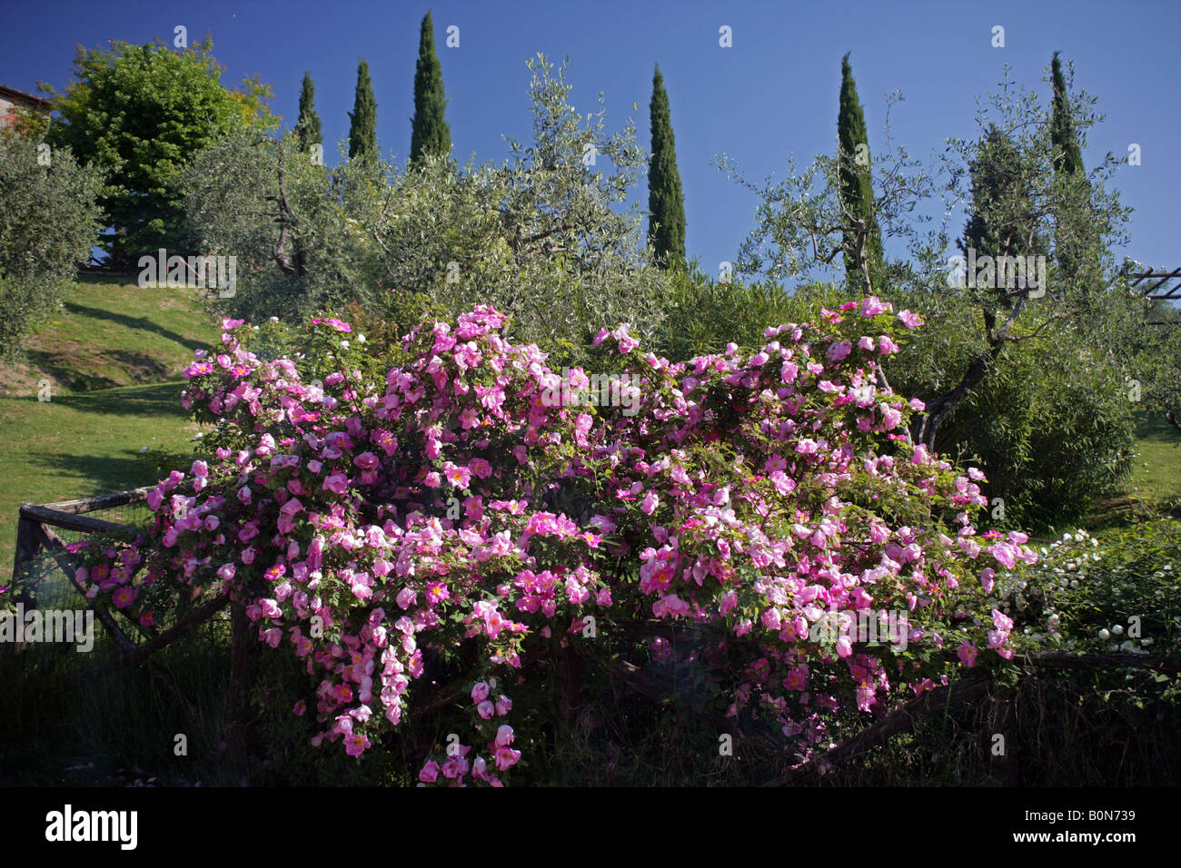 Tuscan landscape hi-res stock photography and images - Alamy