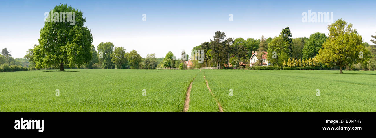 The grounds of a country estate Stock Photo - Alamy