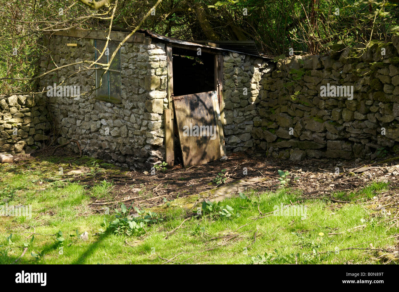 Sheep in pinfold hi-res stock photography and images - Alamy