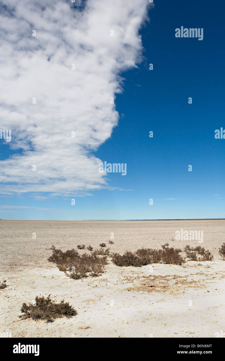 Etosha lake pan landscape hi-res stock photography and images - Alamy