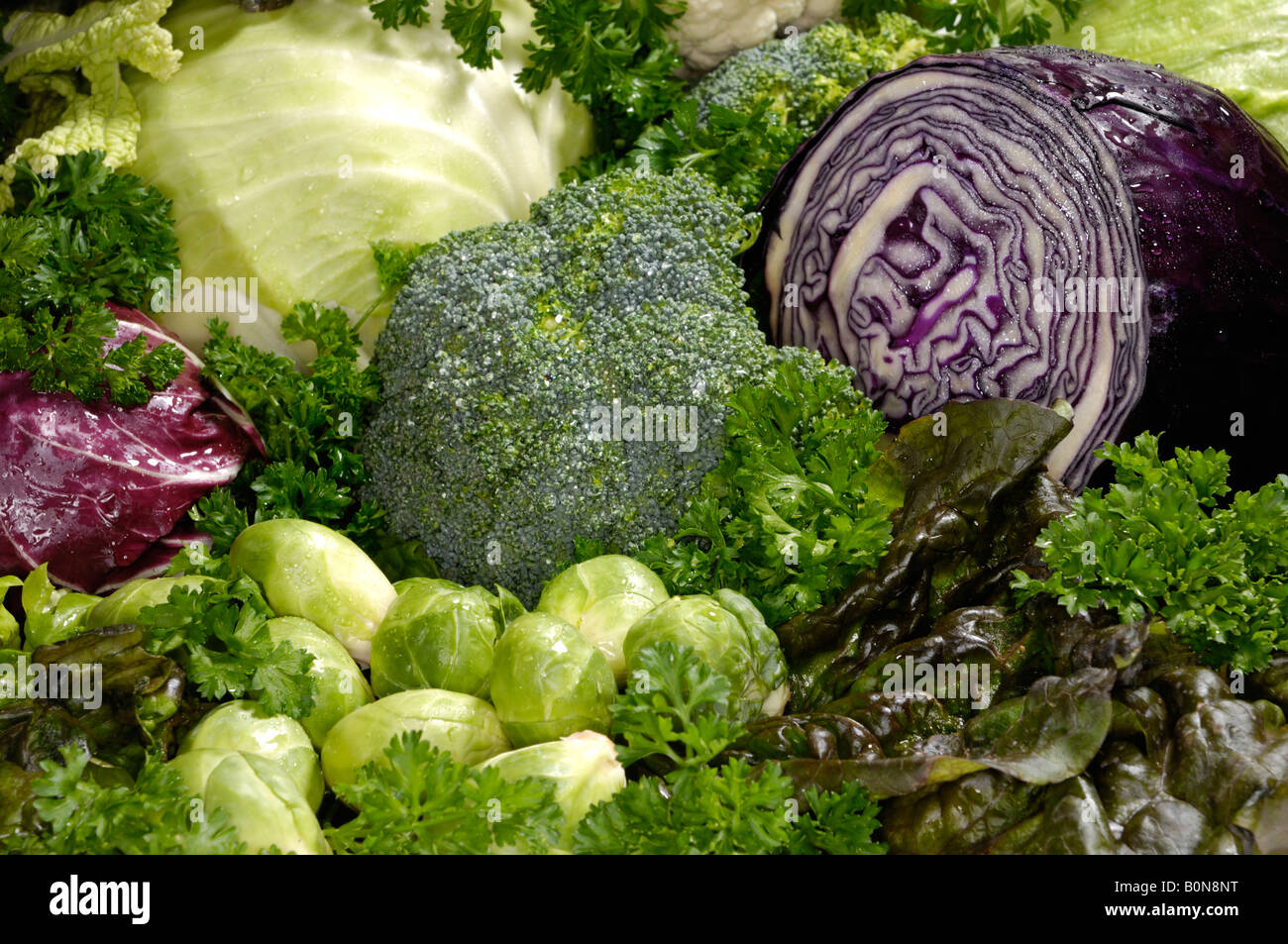 Cabbage types hi-res stock photography and images - Alamy