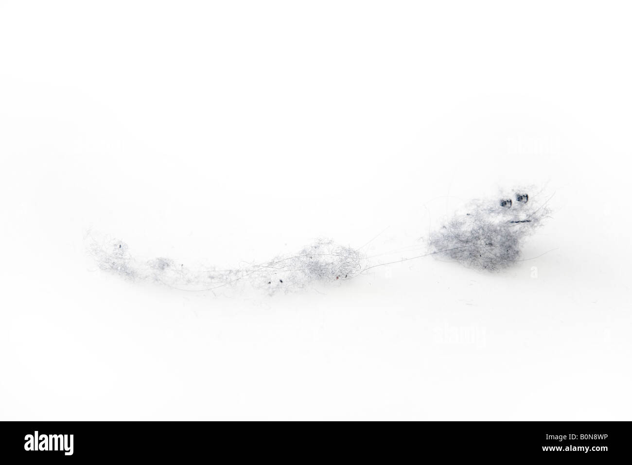 Room dust on a white background Stock Photo - Alamy