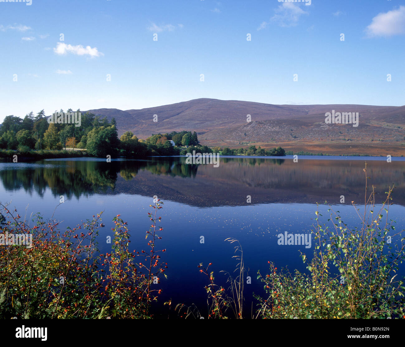 Loch alvie hi-res stock photography and images - Alamy