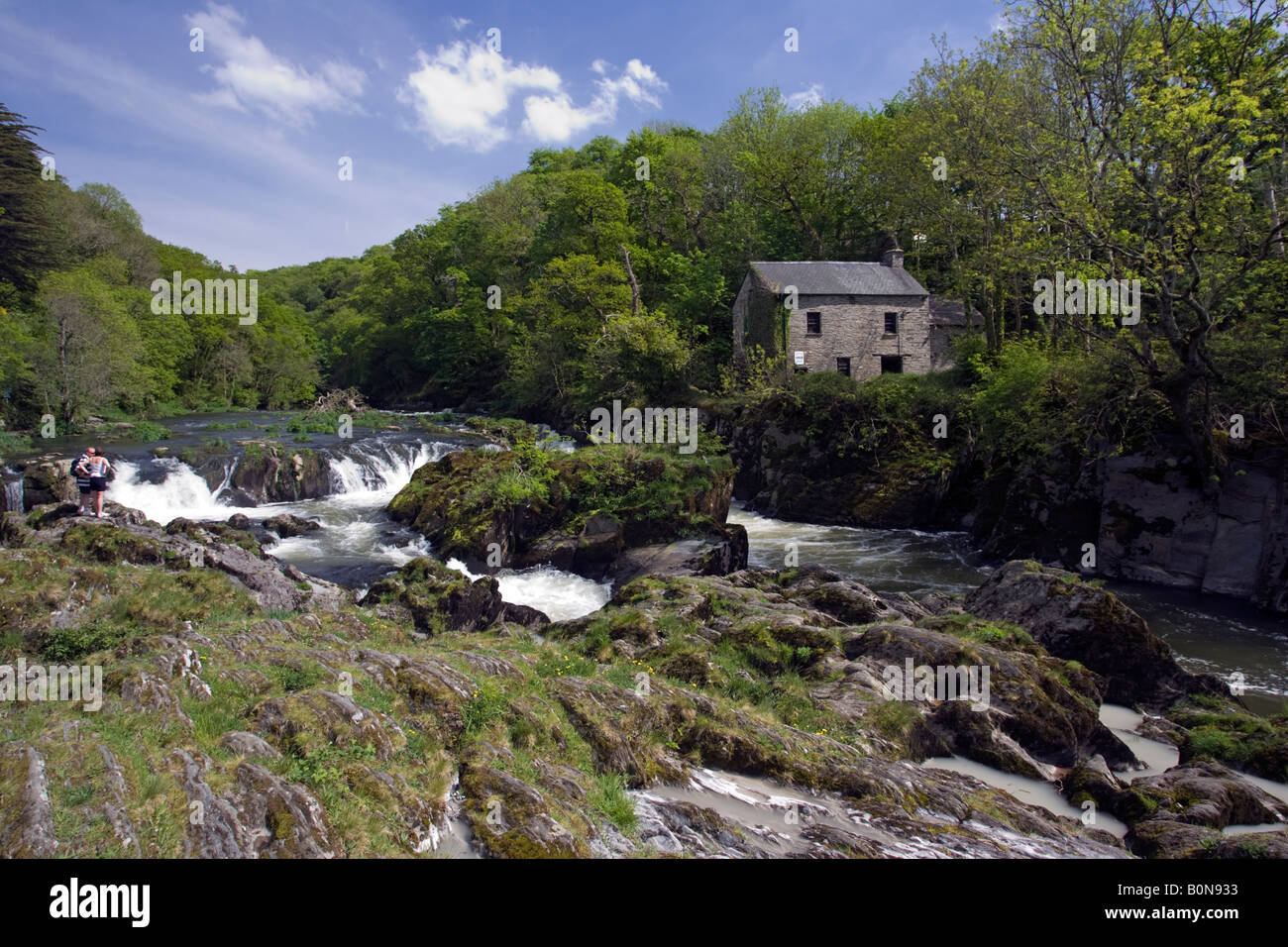 Cenarth falls and old flour mill Cenarth Falls Cardigan Wales UK Stock ...