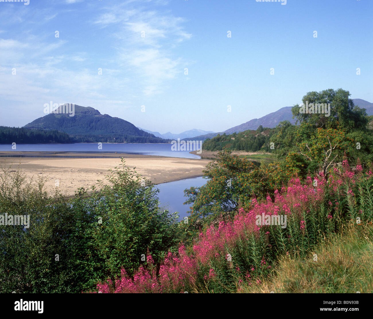 Colourful view of Loch Laggan east of Fort William Stock Photo - Alamy