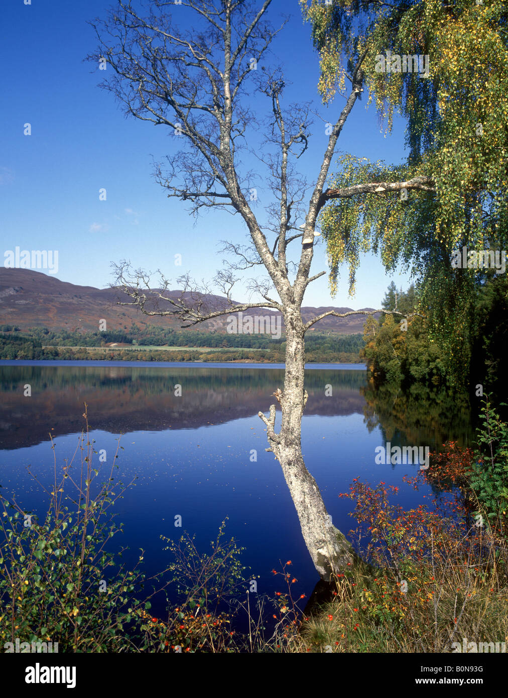 Loch alvie hi-res stock photography and images - Alamy
