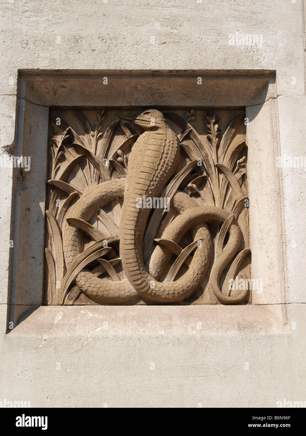 A stone carving of a primitive snake, Natural History Museum South ...