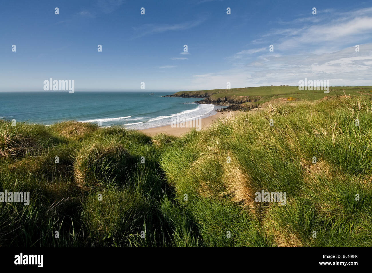Whistling grass hi-res stock photography and images - Alamy