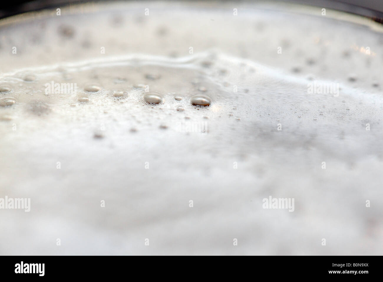 Hops head hi-res stock photography and images - Alamy