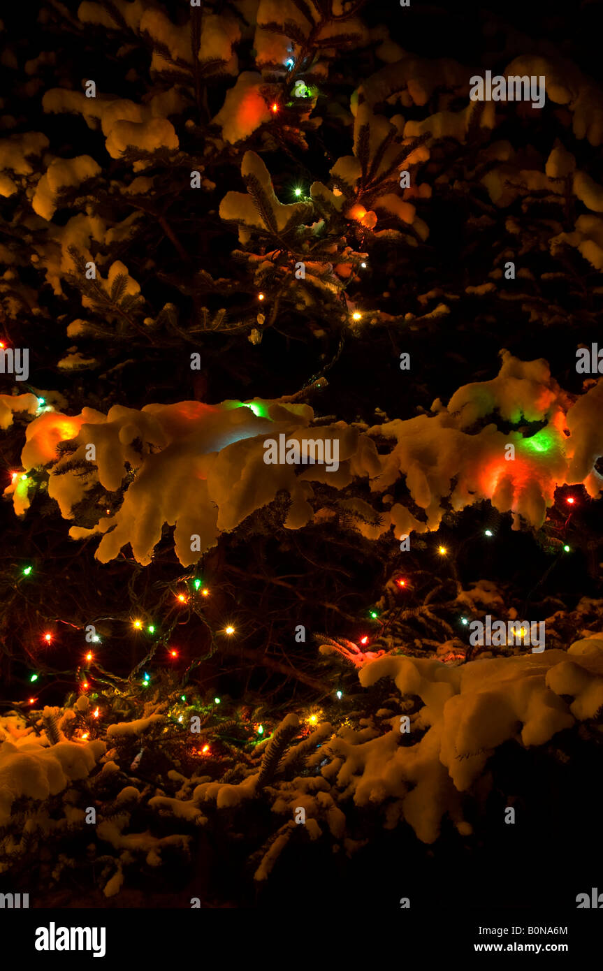 Fresh powder snow on a decorated Christmas tree at night Stock Photo ...