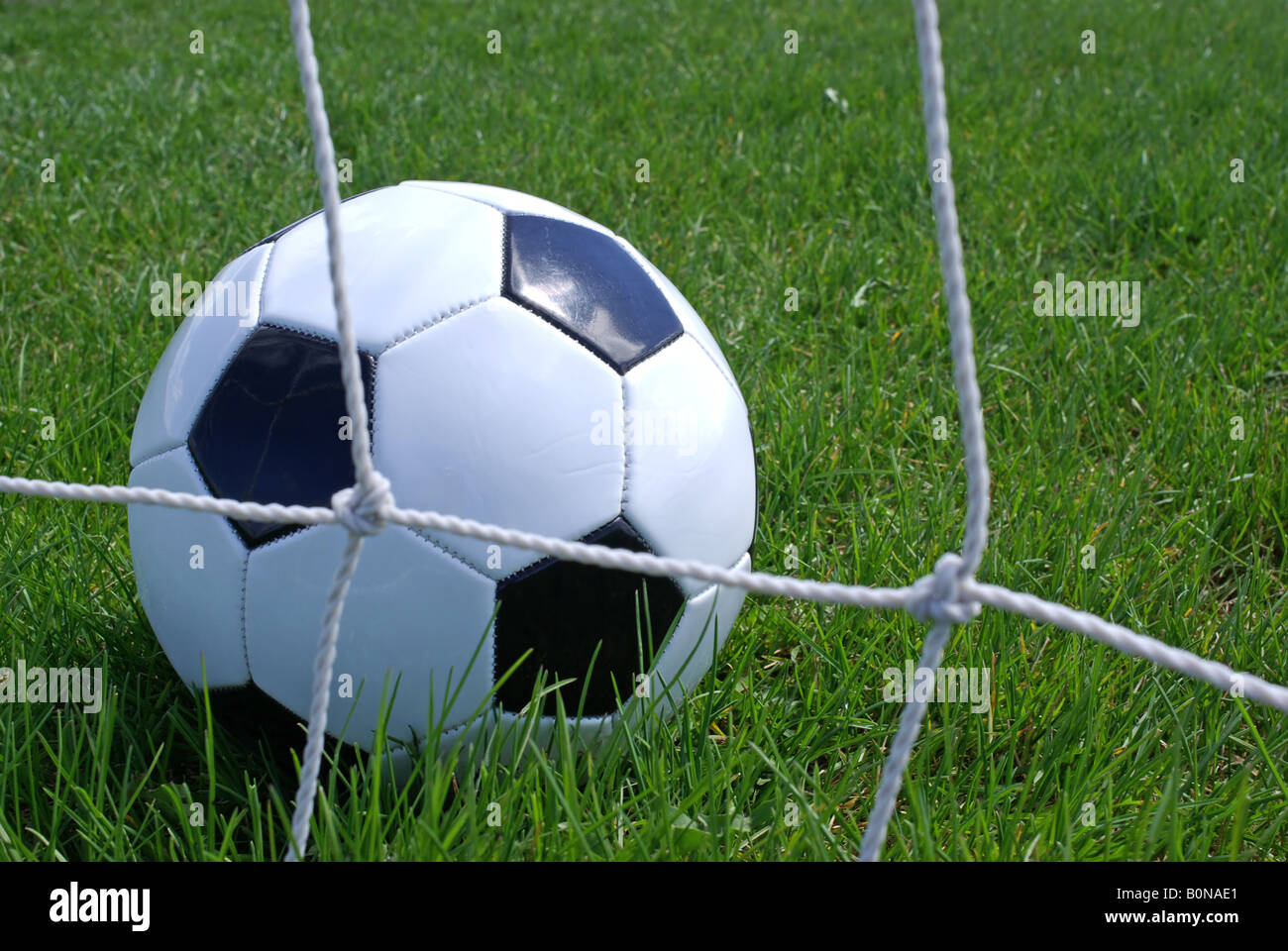 Soccer ball in the goal net Stock Photo - Alamy