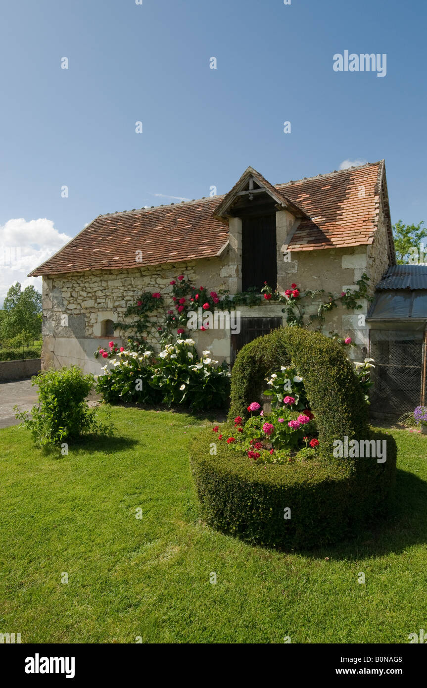 Shrub box tree tree hi-res stock photography and images - Alamy