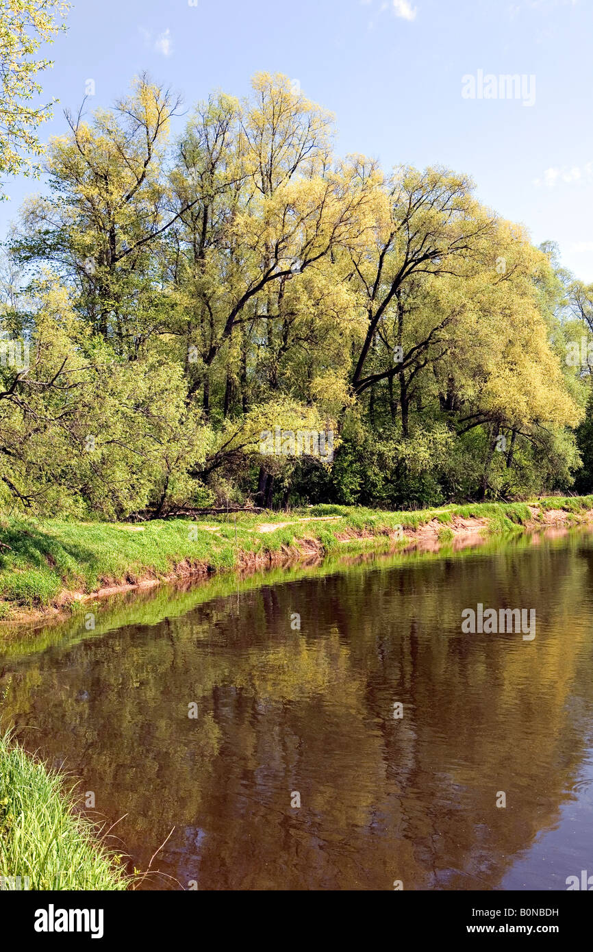 Scenic of Gauja river near Turaida in springtime Gauja National Park ...