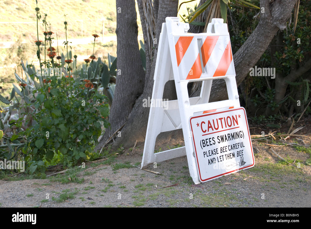 Warning sign posted to keep park visitors from disturbing a nearby bee ...