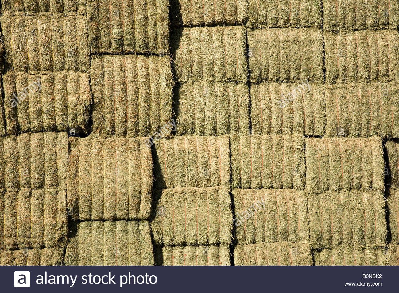 Hay Texture High Resolution Stock Photography and Images - Alamy