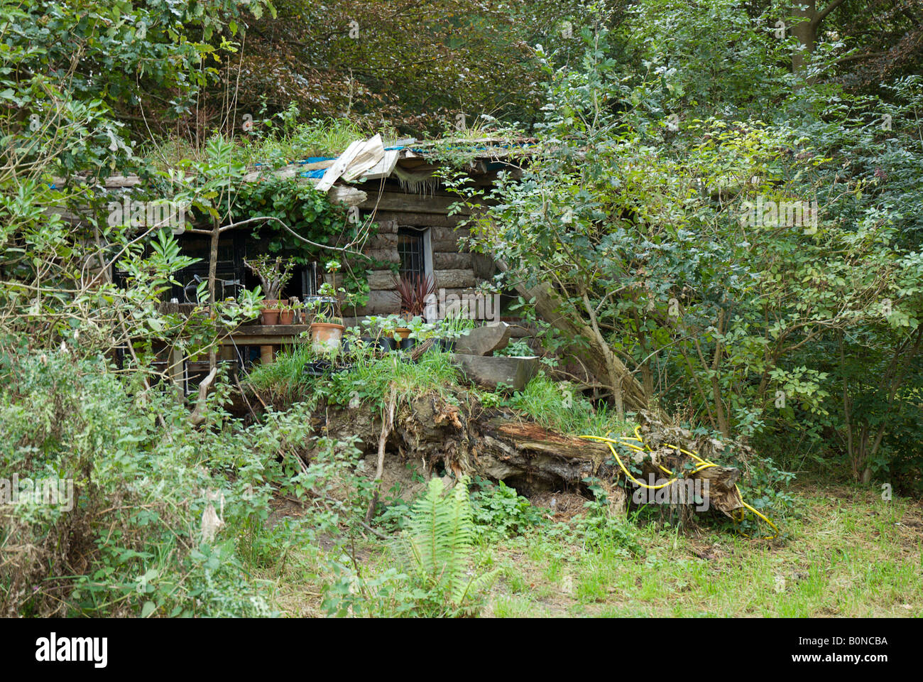 Eco-house, an environmentally friendly sustainable low energy house ...