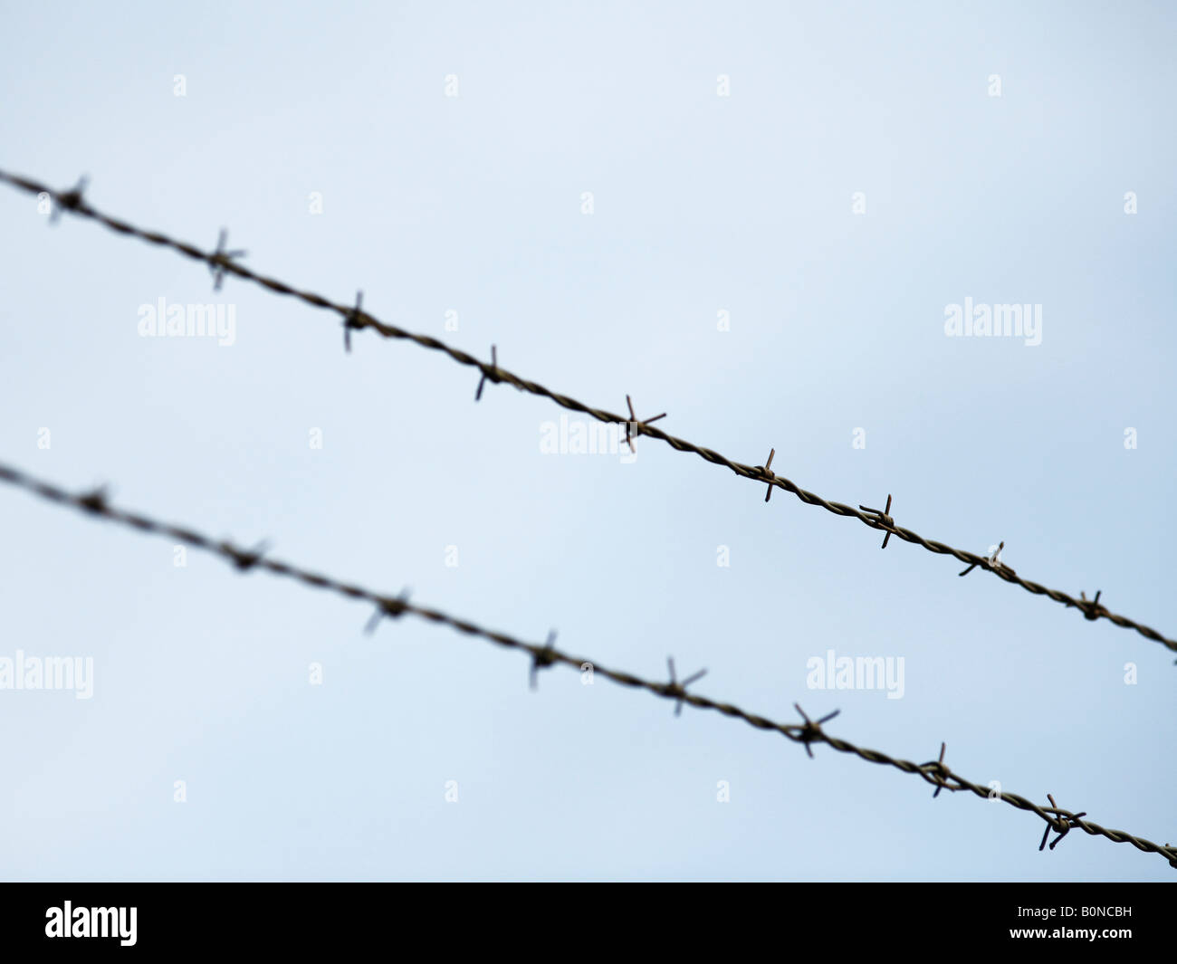 Barbed wire fence detail in hi-res stock photography and images - Alamy