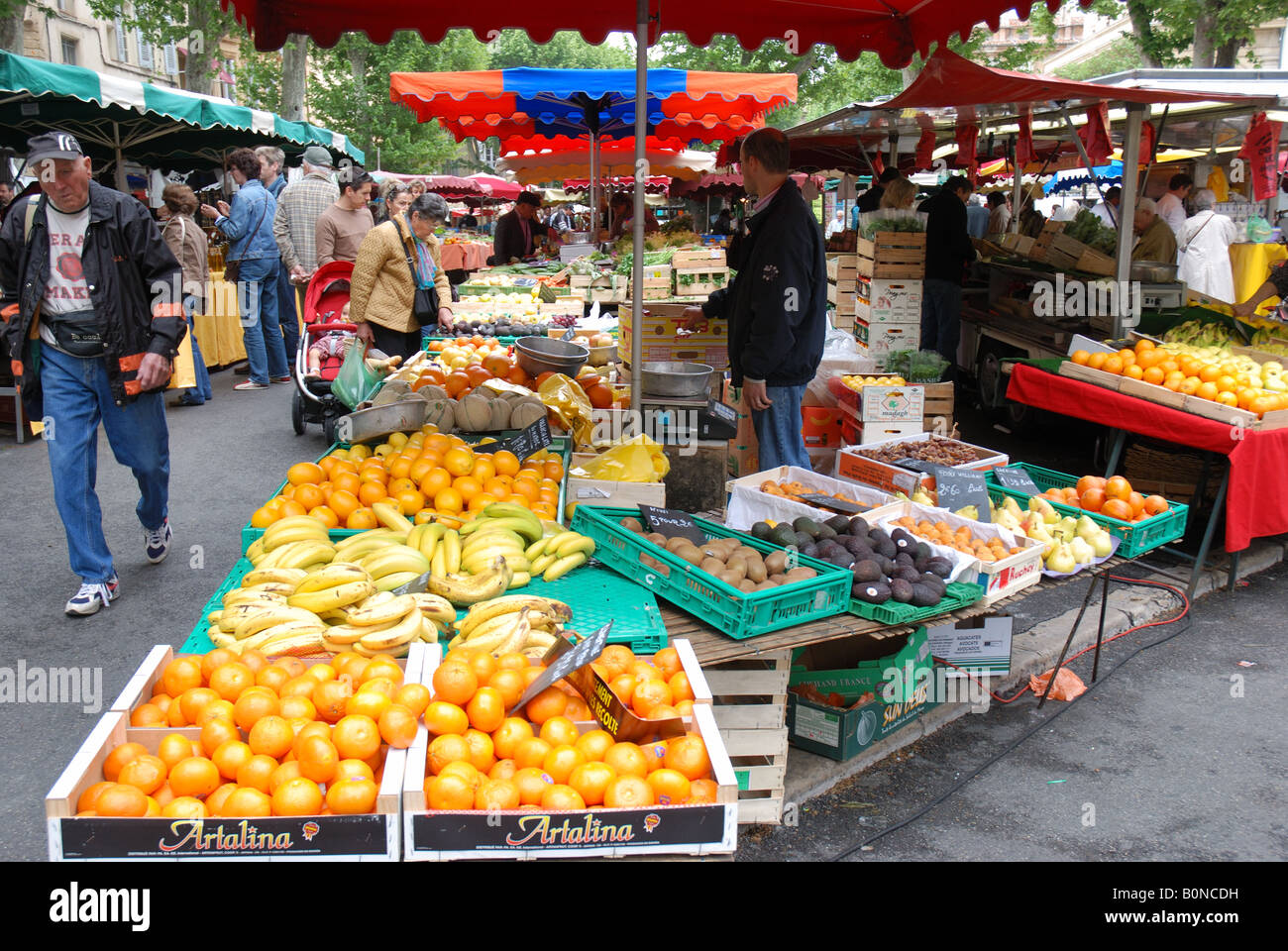 Kiwi en hi-res stock photography and images - Alamy