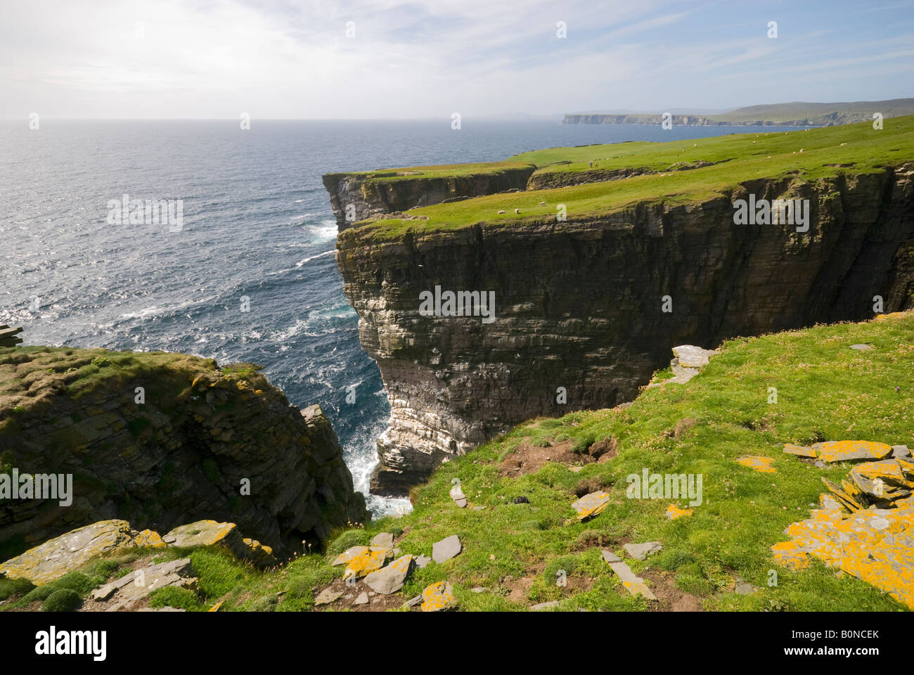 Sea cliffs near the Noup on the Isle of Noss, Shetland Islands ...