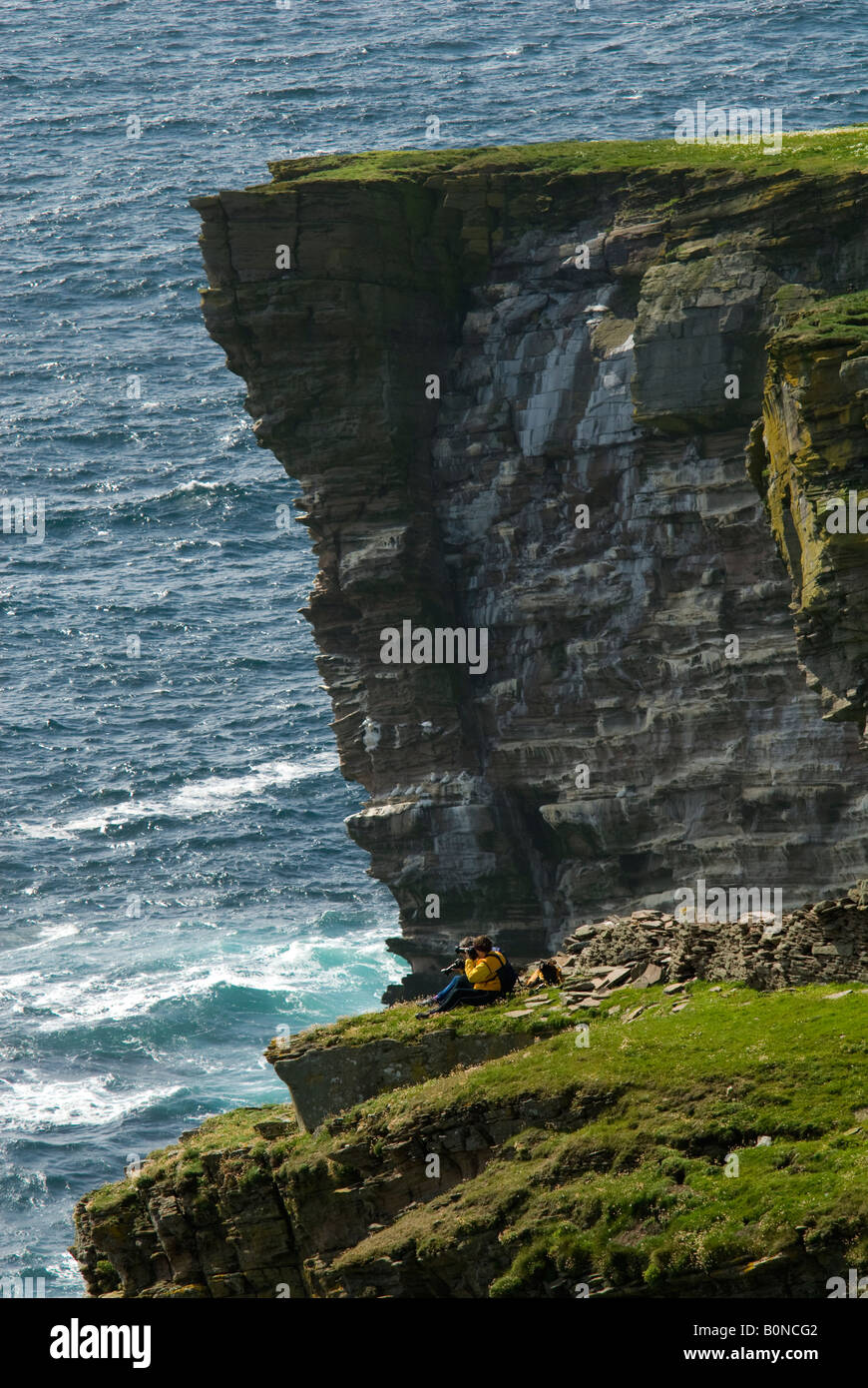 Sea cliffs near the Noup on the Isle of Noss, Shetland Islands ...
