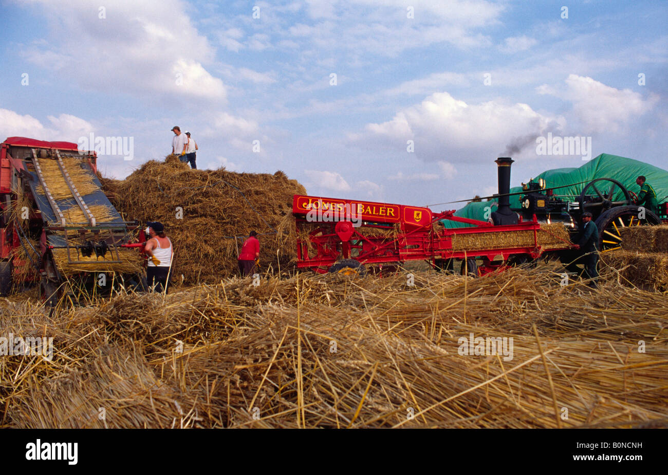 Stationary baler hi-res stock photography and images - Alamy