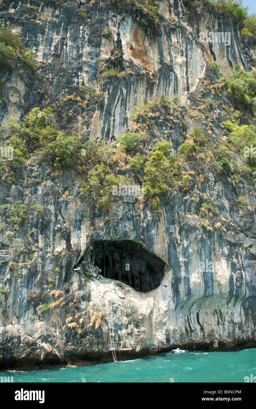 Inhabited limestone cave Hong Island Andaman Sea Krabi Province ...