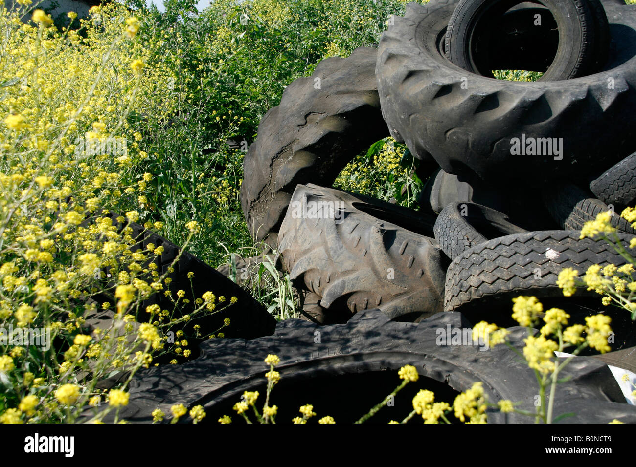 old tractor tyres left in field in countryside Stock Photo - Alamy