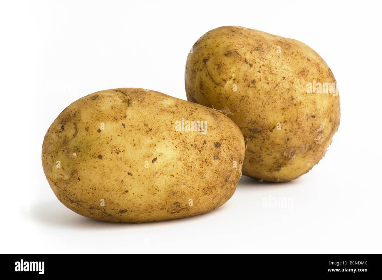 two potatoes on a white background Stock Photo - Alamy