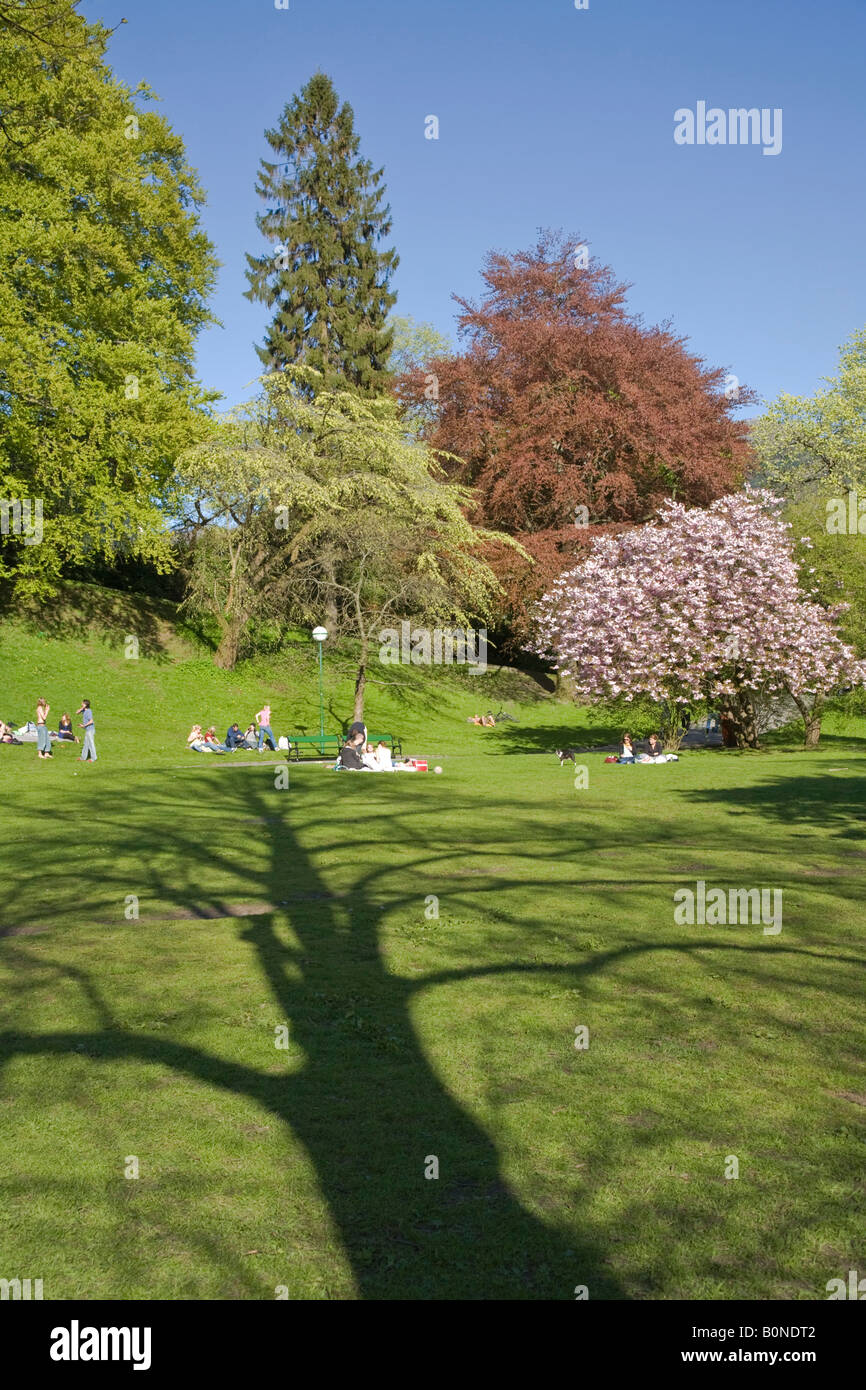 Bergen in spring hi-res stock photography and images - Alamy