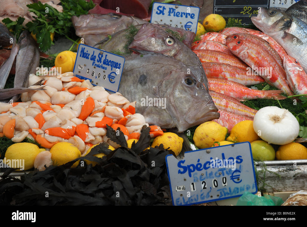 Dory fish market hi-res stock photography and images - Alamy