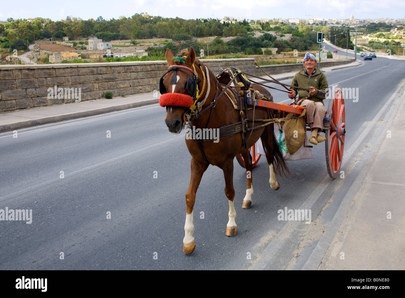 Maltese Horse Drawn farm cart, on the roads of Malta EU Stock Photo - Alamy