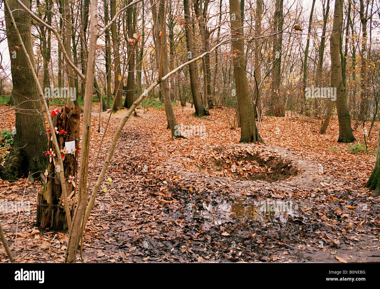 shell hole in a battle field site at Ypres Stock Photo - Alamy