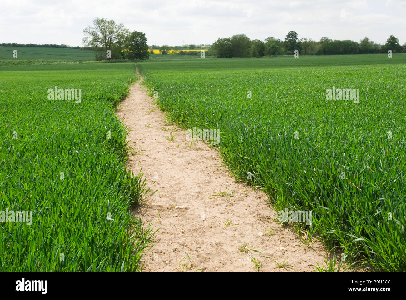Public footpath ancient right of way Sempringham Lincolnshire UK Stock ...