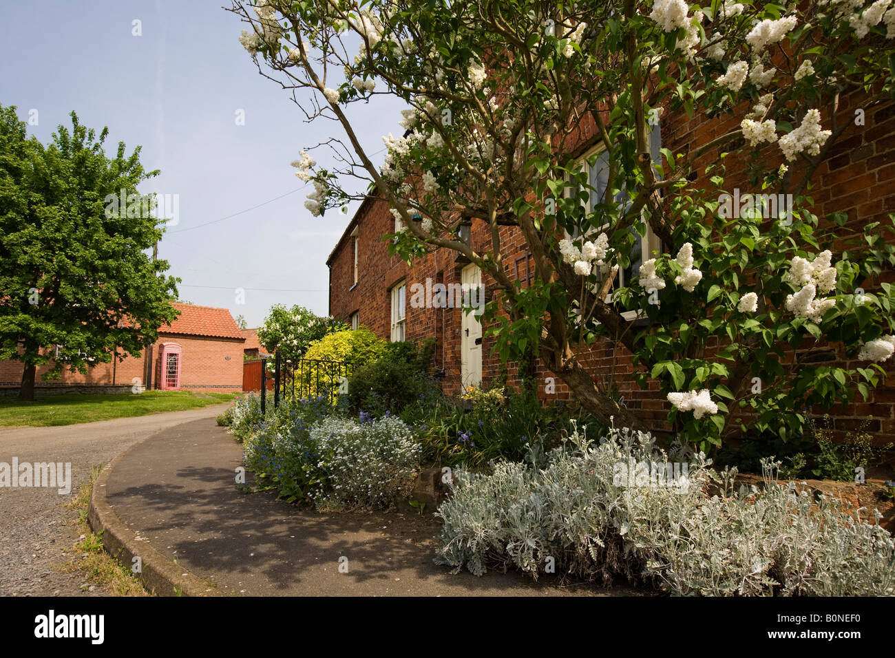 Muston High Resolution Stock Photography and Images - Alamy