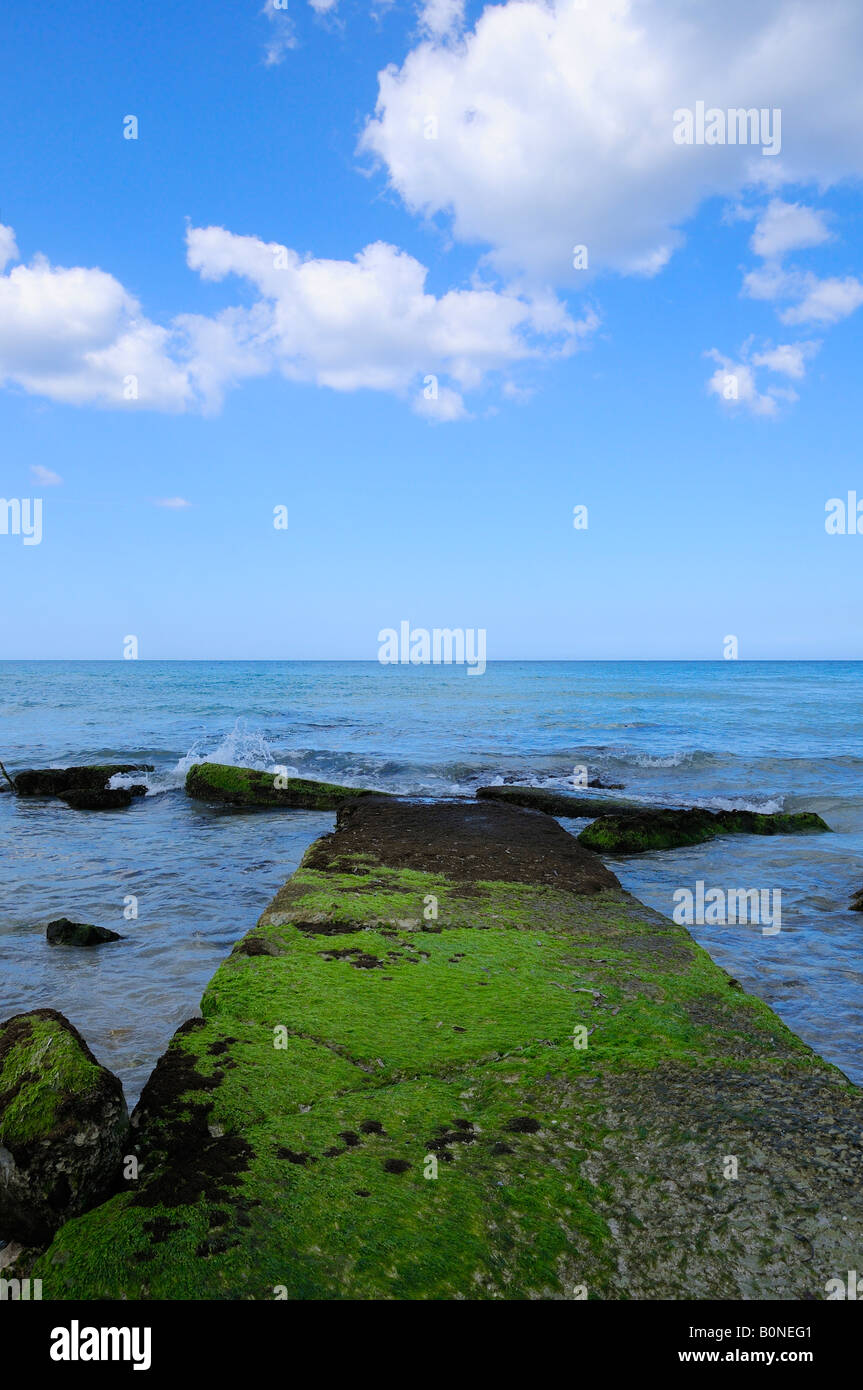 Mossy path heading towards tropical beach Stock Photo - Alamy