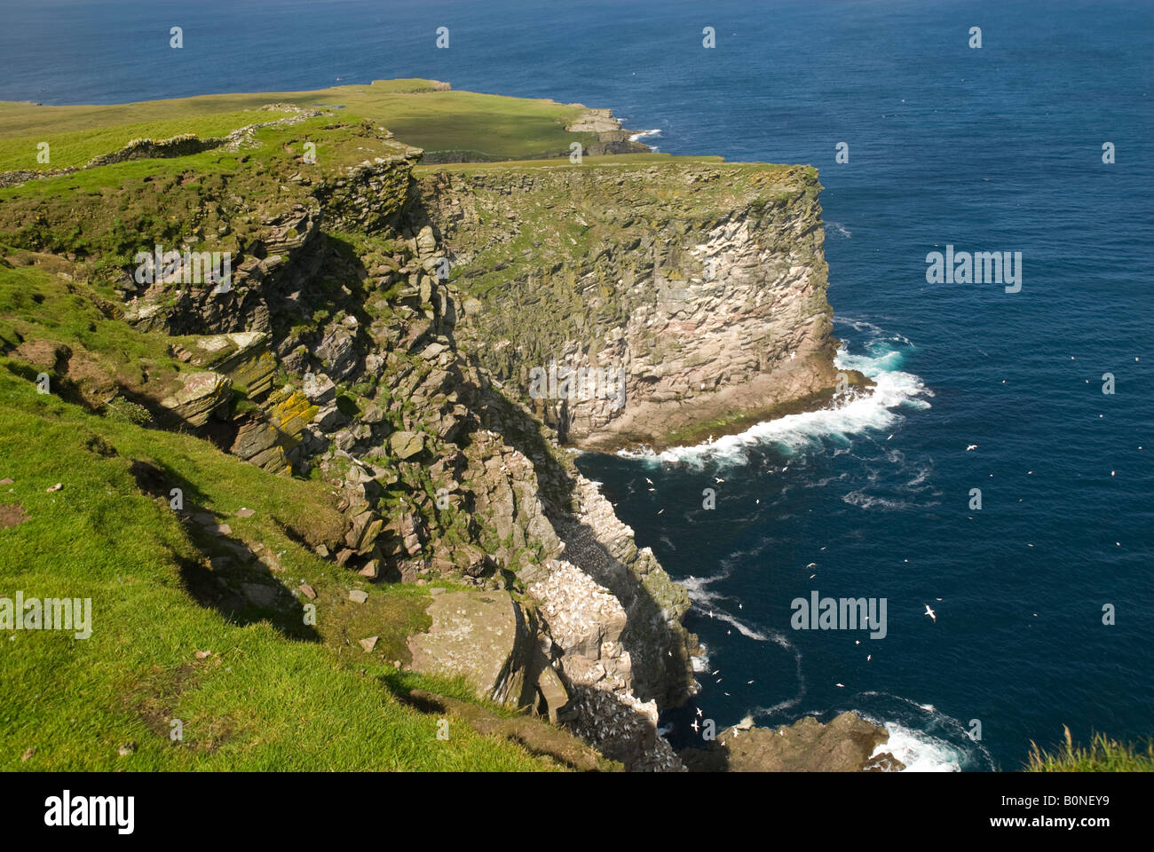 Isle of noss hi-res stock photography and images - Alamy