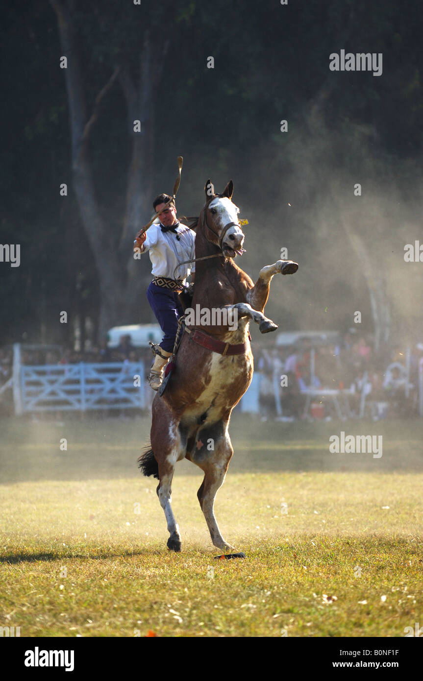 rodeo rider and horse Stock Photo - Alamy