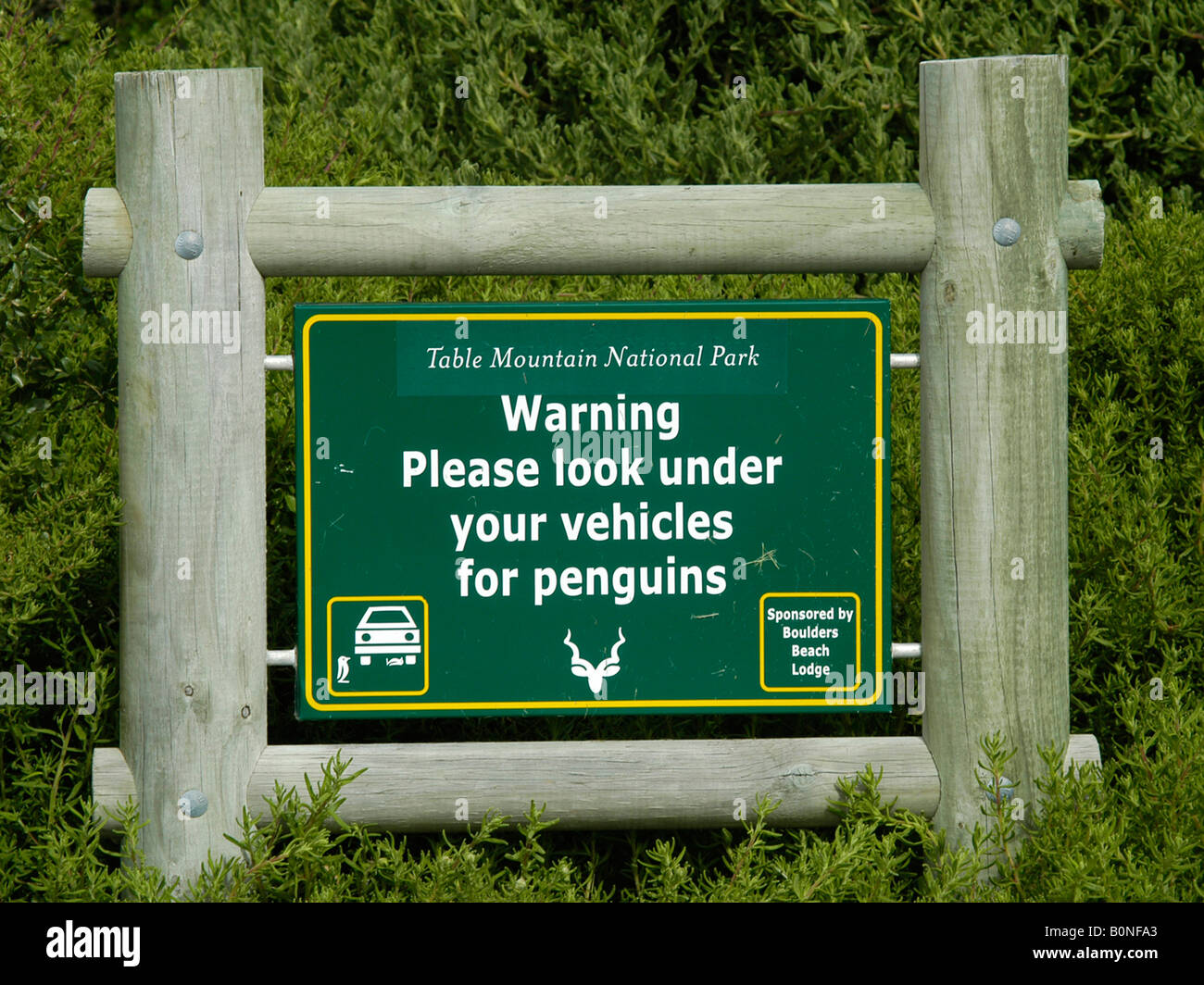 Billboard: Warning please look under your vehicles for penguins Stock ...