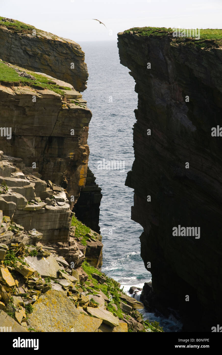 Noup of noss hi-res stock photography and images - Alamy