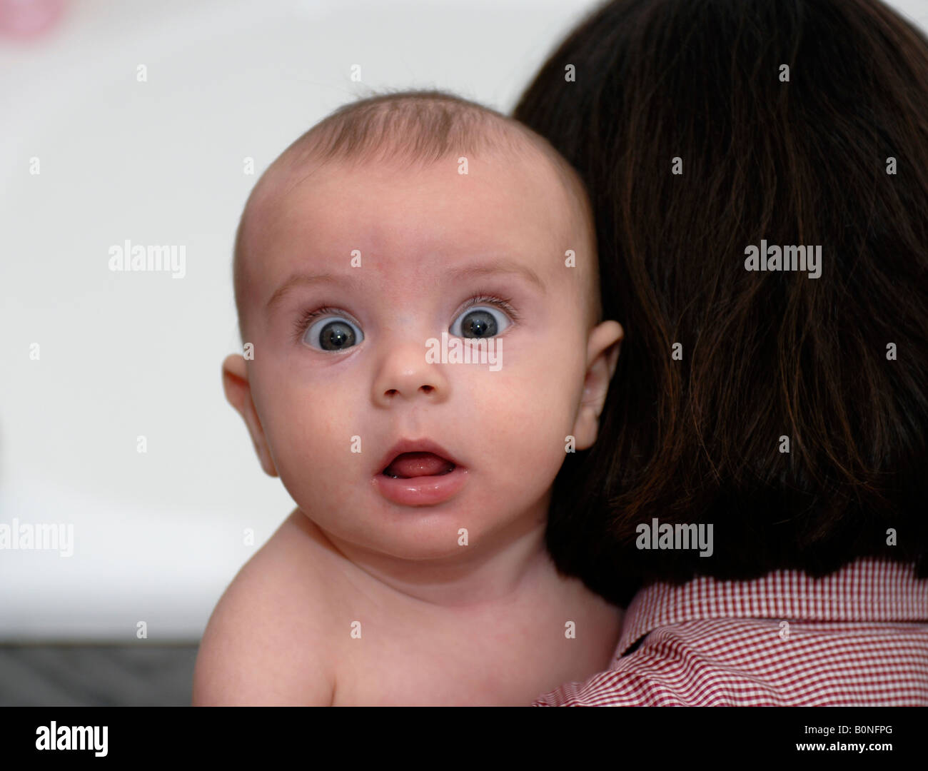 Big eyed eyes wide open wide open eyes hi-res stock photography and ...